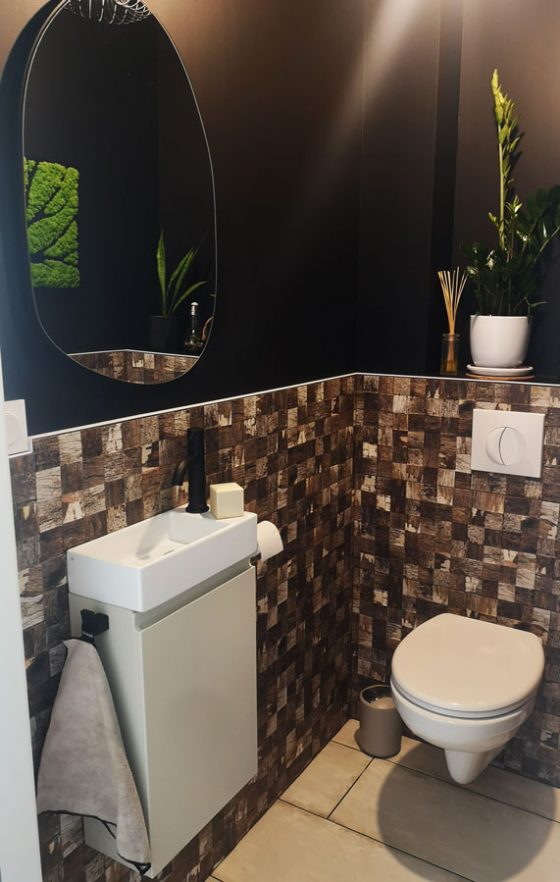 Sitemapcdatahttpsneedsmixel Thicoipeinfowc 1m2 Amenagement Wc Petite Surface